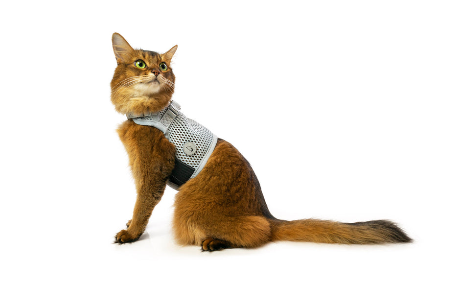 Harnesses – Sleepypod