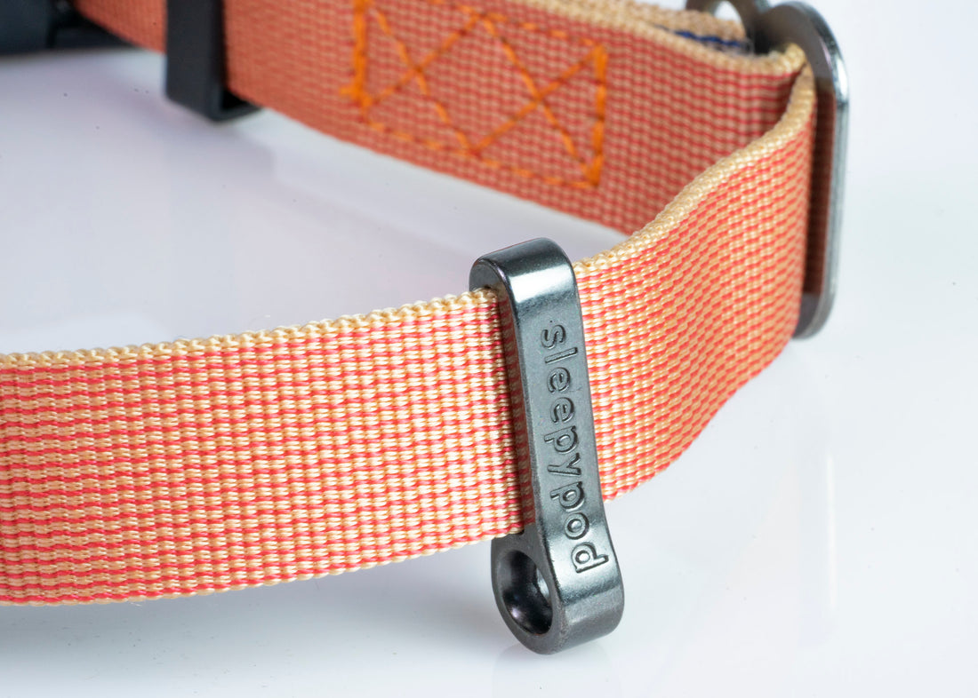 Everyday Collar – Sleepypod