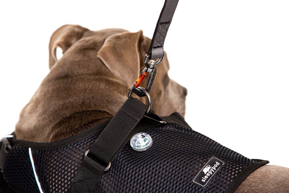 Harnesses – Sleepypod