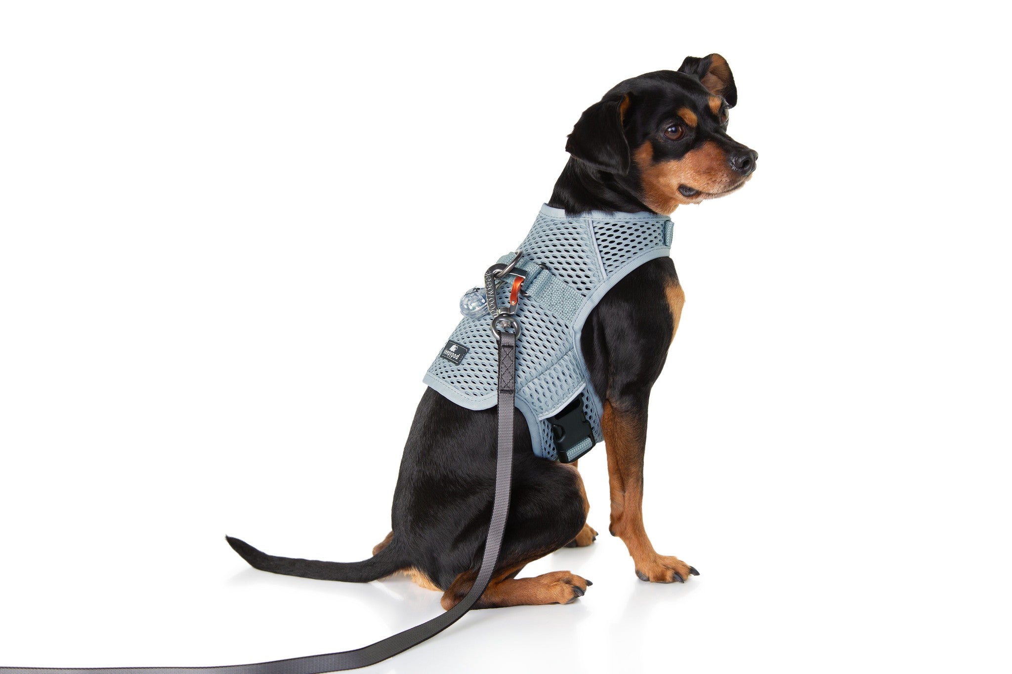 Martingale Calming Harness for dogs – Sleepypod