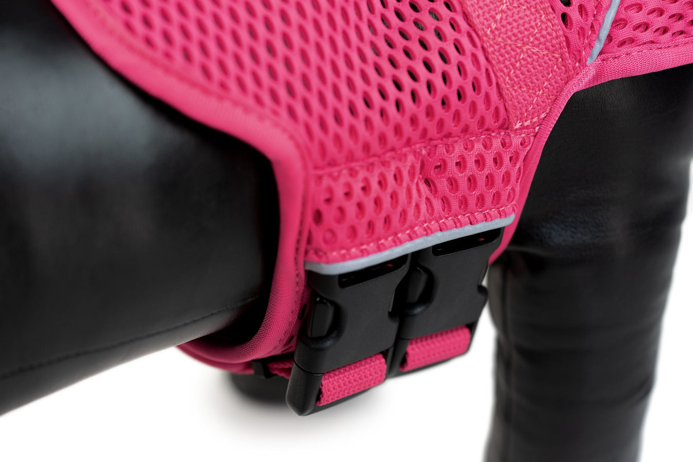 Martingale Calming Harness for dogs – Sleepypod