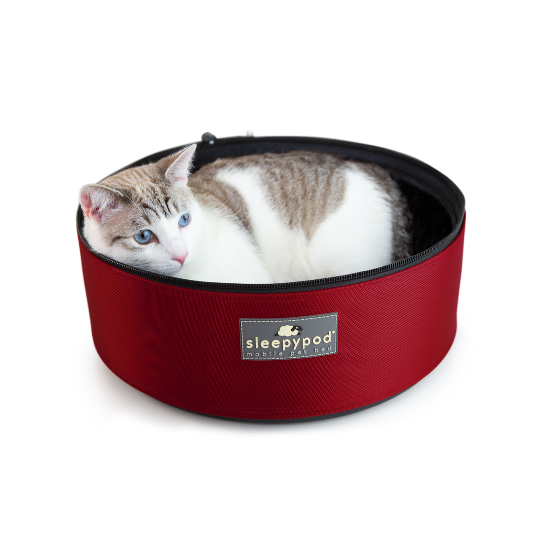 Sleepypod Mobile Pet Bed - All in one pet bed, carrier and crash-tested ...