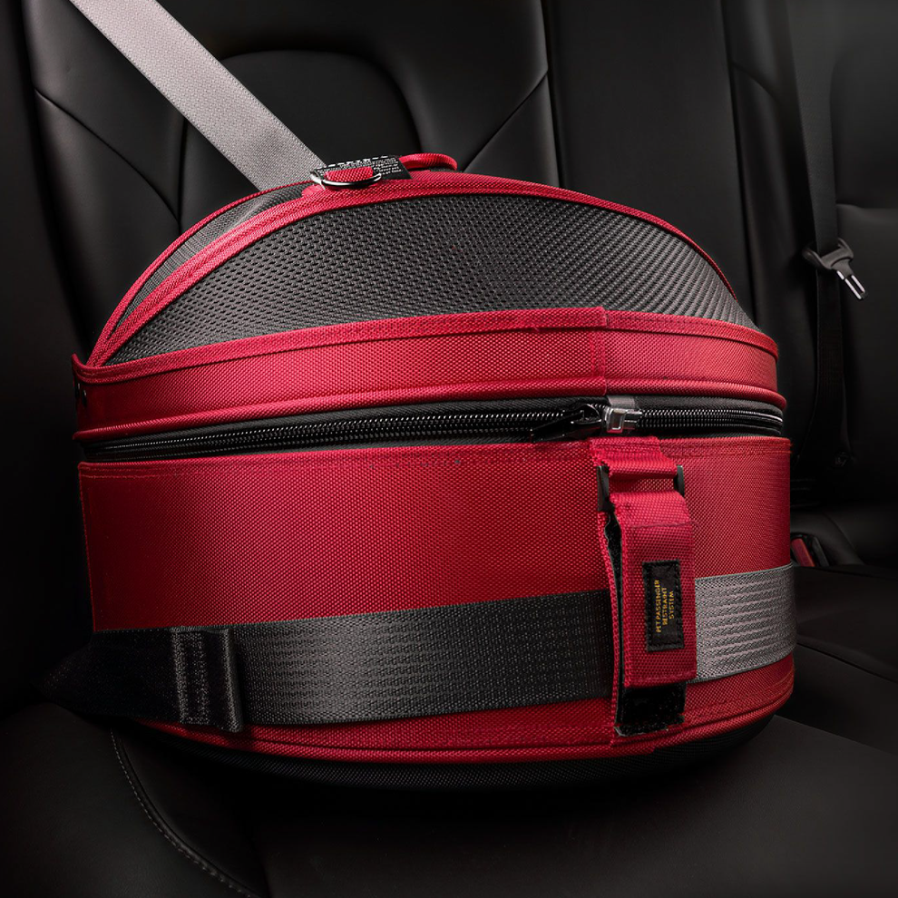 Sleepypod Mobile Pet Bed - All in one pet bed, carrier and crash-tested ...