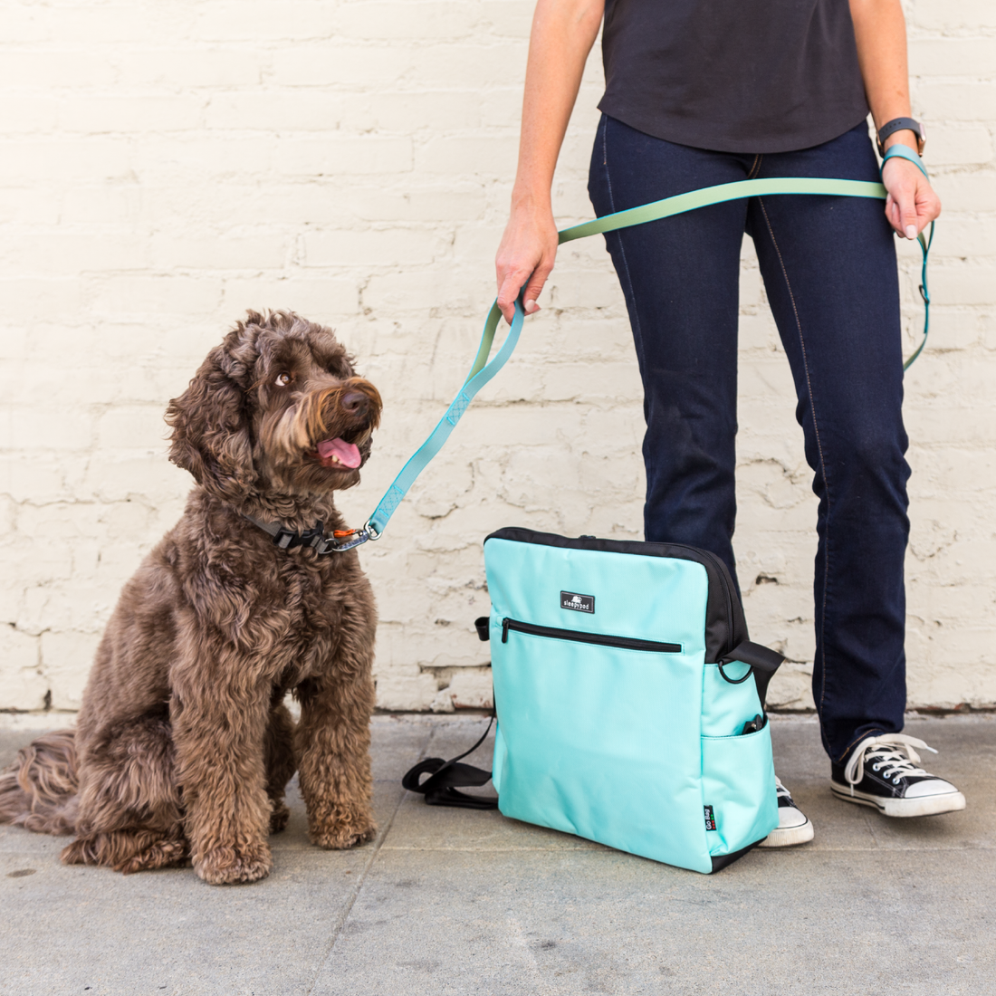 Go Bag – Sleepypod