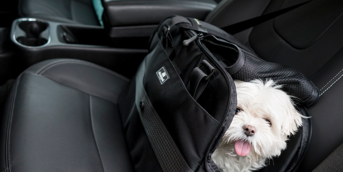 Beds & Carriers – Sleepypod