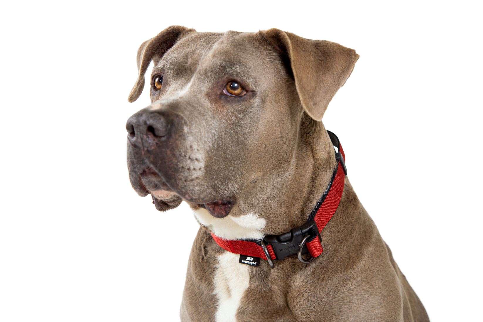 Power Collar – Sleepypod